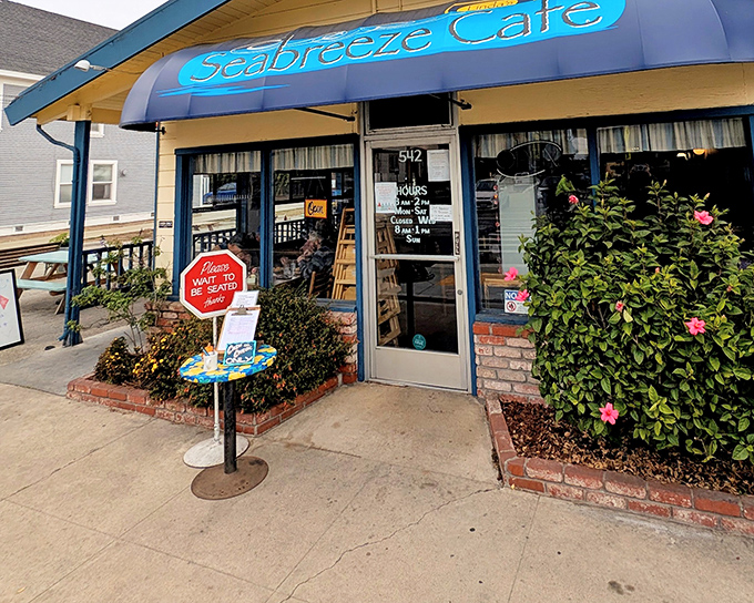 The blue awning beckons like an old friend, promising comfort food and zero pretension. Santa Cruz mornings start here.