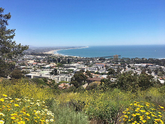 Ventura's panoramic coastline view isn't just a feast for the eyes—it's real estate that doesn't require a tech mogul's salary to enjoy daily.