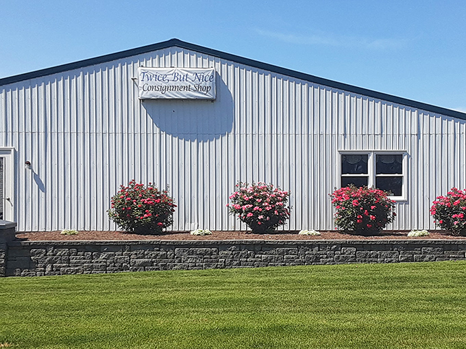 The unassuming exterior of Twice But Nice belies the treasure trove waiting inside. Like a speakeasy for bargain hunters!