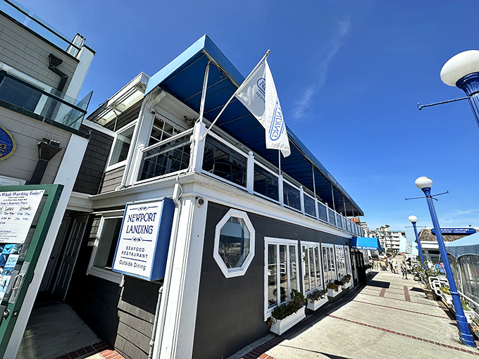 Newport Landing's distinctive octagonal windows and navy blue awnings stand as a maritime beacon for hungry travelers navigating Newport Beach's dining scene.