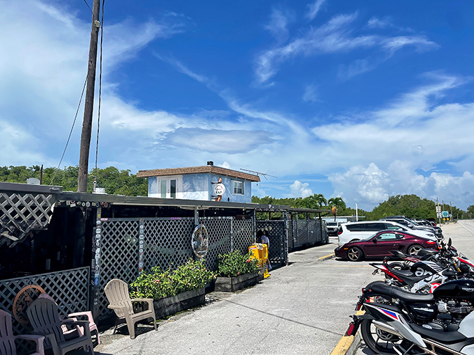 The unassuming blue exterior of Alabama Jack's stands as a beacon to seafood lovers who know that sometimes the best meals hide in plain sight.