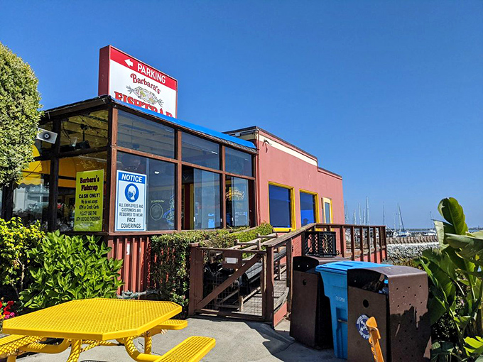 The little red shack by the sea isn't trying to impress anyone, yet somehow manages to impress everyone who visits.