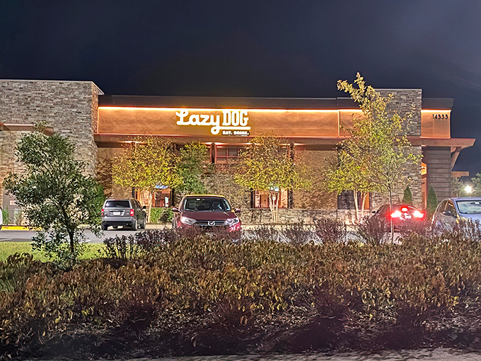 The mountain lodge meets suburban Virginia in this welcoming facade. That glowing "Lazy Dog" sign promises comfort food adventures await inside.