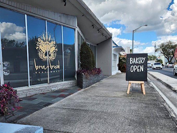 The unassuming entrance to Born & Bread Bakehouse might fool you, but locals know this modest storefront houses Florida's most extraordinary pastry treasures.