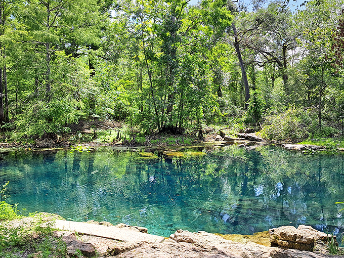 Those wooden steps lead to what might be the closest thing to time travel in Florida&mdash;crystalline waters unchanged for millennia.
