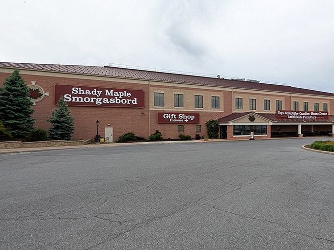 Behold the mothership of comfort food - where Pennsylvania Dutch tradition meets your wildest buffet dreams.