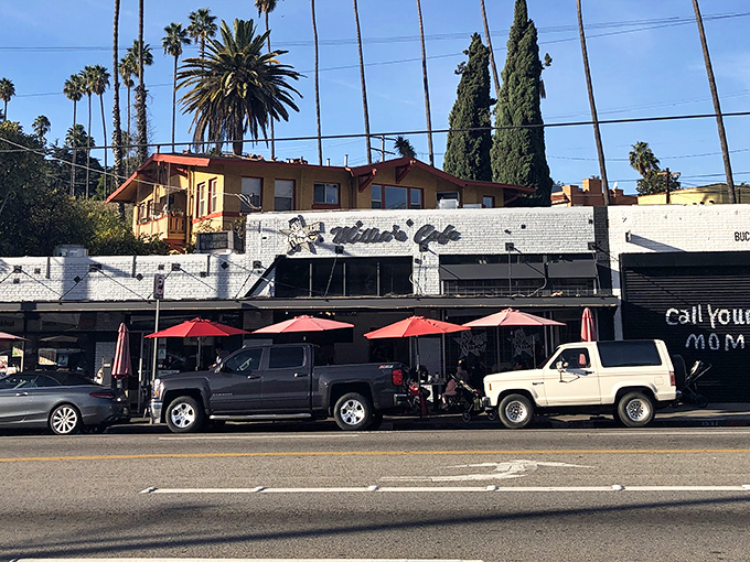 Nestled beneath swaying palm trees, Millie's Cafe's unassuming exterior hides culinary treasures that locals line up for. Those red umbrellas promise shade and satisfaction.