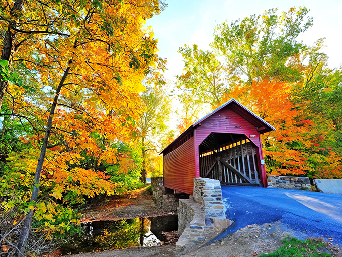 Fall's fiery palette creates nature's perfect frame for this crimson treasure. Maryland's history stands proudly against autumn's golden backdrop.
