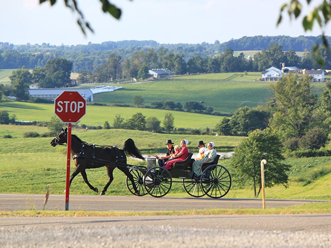 Where time slows down to horse-and-buggy speed. This iconic scene captures the essence of Amish Country's rolling hills and simpler pace of life.