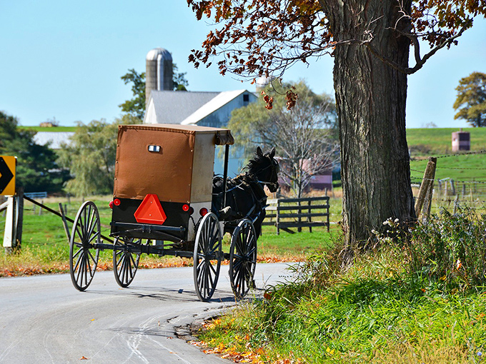 The quintessential Lancaster County scene: an Amish buggy traveling along winding country roads, where time slows down just enough to savor life's simple pleasures.