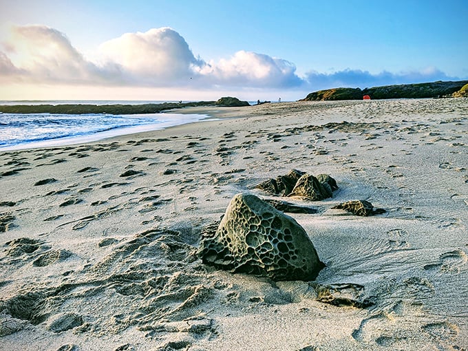Nature's artistry on full display: tafoni-patterned rocks rest on pristine sand while dramatic clouds frame the coastline's gentle curve.
