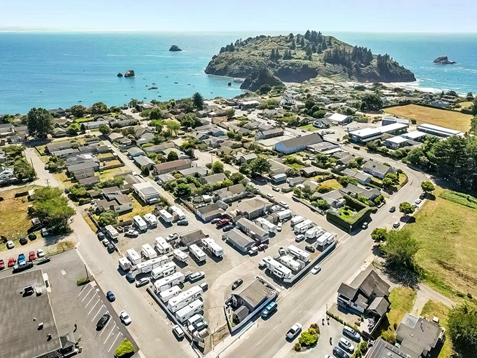 Nature's wind sculpture meets coastal paradise – Trinidad's dramatic shoreline offers the kind of views that make you forget your phone password mid-photo.