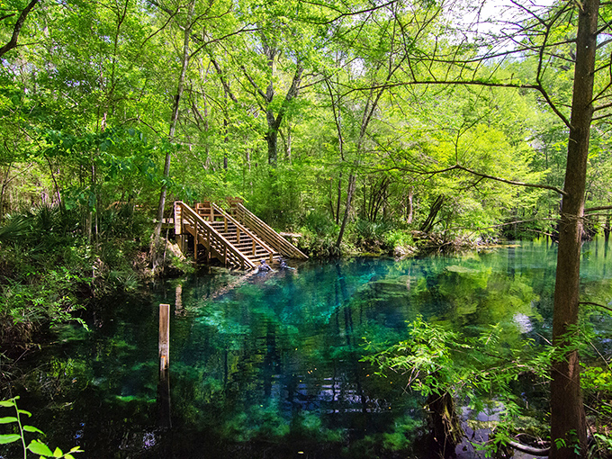 Nature's own infinity pool, where crystal-clear water meets ancient limestone in perfect harmony.
