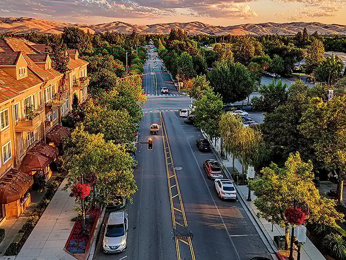 Sunset bathes Vacaville in golden light, where tree-lined streets and rolling hills create California's perfect balance of small-town charm and natural beauty.