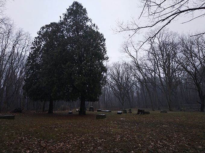 The infamous Fulton gravestone stands sentinel in the mist, while a visitor with a flashlight creates an unintentionally perfect ghost story setting.