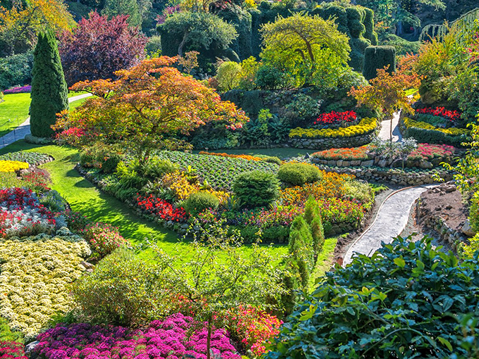 Welcome to paradise, where Mother Nature decided to show off her interior decorating skills.