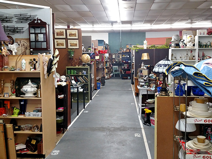 Wide aisles lead to narrow rabbit holes of discovery where time machines disguised as ordinary objects await their next passenger.