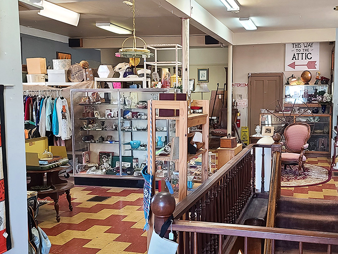 A treasure hunter's paradise! Organized chaos of vintage magazine covers and automotive memorabilia awaits discovery in this corner of Columbus's time capsule.