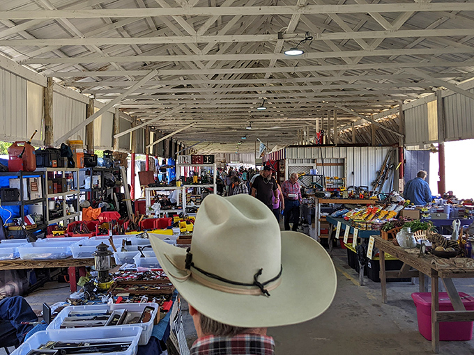 The covered pavilions stretch like canyons of commerce, where treasure hunters navigate aisles of possibility under industrial rafters that have witnessed countless bargain victories.