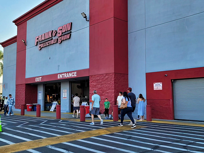 The red and white exterior of Frank & Son might look unassuming, but inside lies a treasure trove that would make Indiana Jones switch careers to collecting action figures.