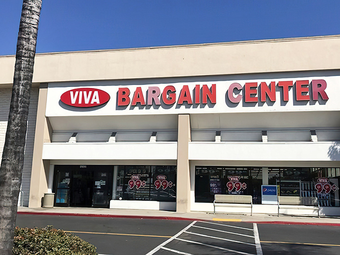 The unassuming storefront of Viva Bargain beckons with its siren song of "99&cent;" signs. Retail therapy without the therapy bills!