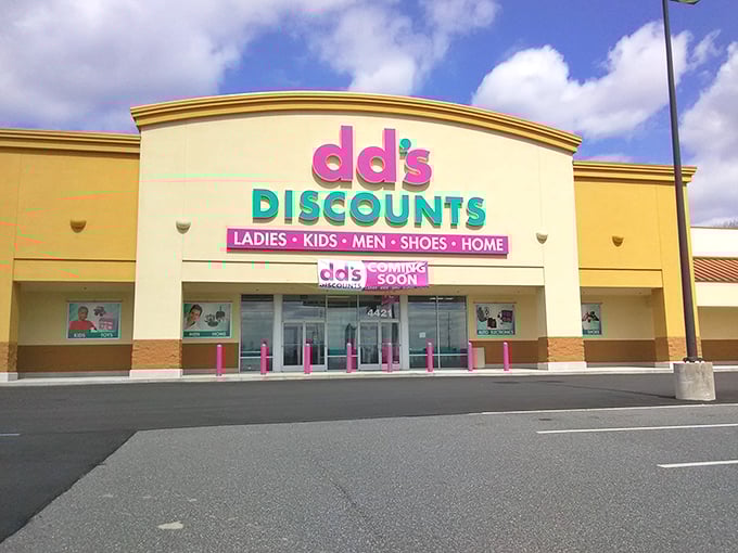 The pink and teal signage of dd's DISCOUNTS stands out like a beacon of bargain hope against the Delaware sky.