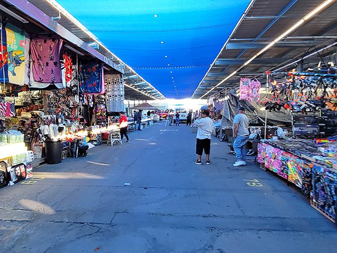 The blue canopy stretches like an Arizona sky above this treasure-seeker's highway. Vendors line both sides, their wares beckoning with silent promises of undiscovered bargains.