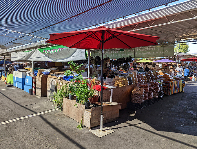 The main thoroughfare stretches like a treasure-filled canyon, with colorful merchandise creating walls of possibility on either side. Bargain hunting has never looked so inviting.
