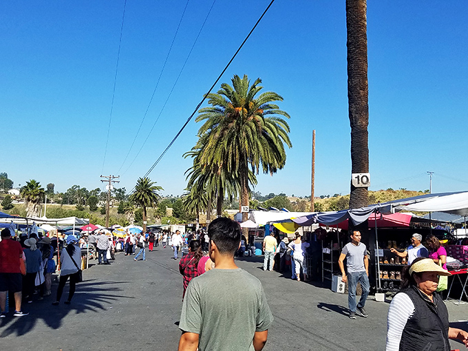 Palm trees stand sentinel over a bustling marketplace where shoppers navigate stalls of treasures under the California sun.