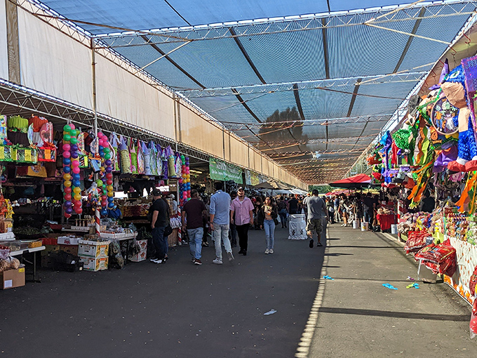 The main thoroughfare stretches like a treasure-filled canyon, with colorful merchandise creating walls of possibility on either side. Bargain hunting has never looked so inviting.