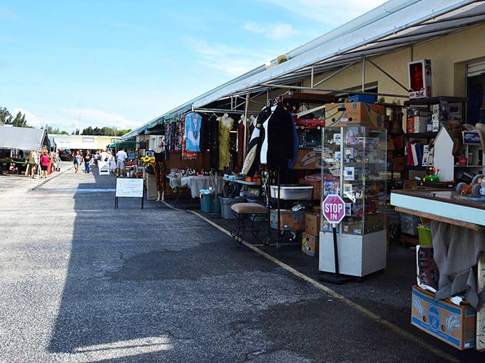 Treasure hunting begins under these covered walkways, where one person's castoffs become another's prized possessions. Florida sunshine stays outside while the deals stay cool.
