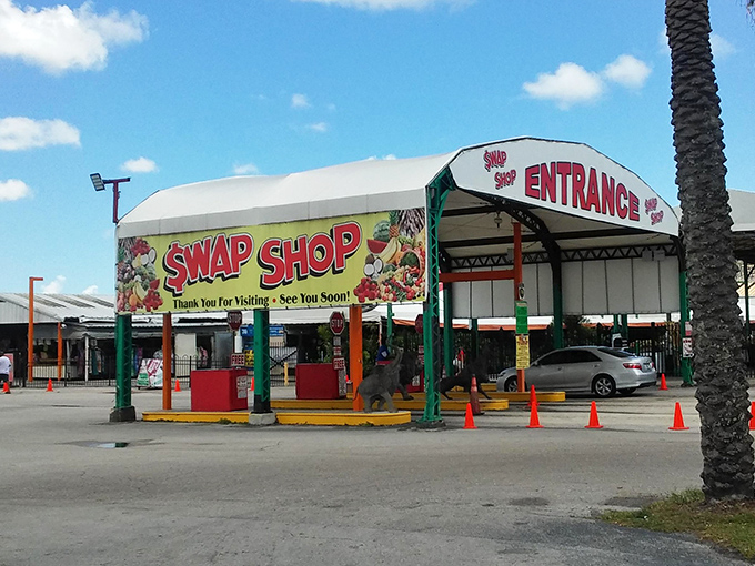 Treasure hunting in its purest form! Rows of tables stretch into the distance, each one a miniature museum of possibilities waiting to be discovered.