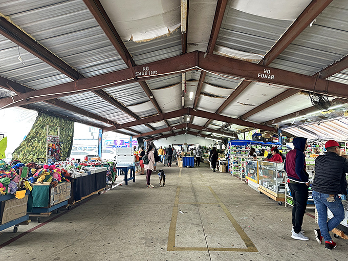 The covered walkways of Beach Boulevard Flea Market stretch like urban canyons of possibility, where one person's castoffs become another's treasures.