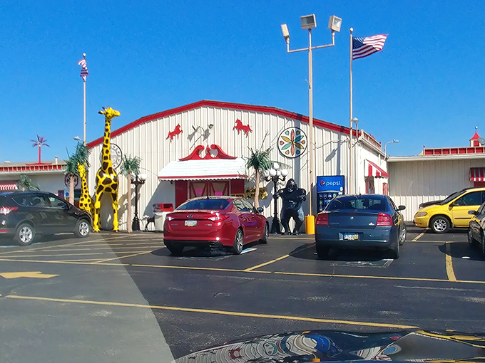 Those iconic yellow giraffes aren't just decorative &ndash; they're sentinels guarding the entrance to a wonderland of retail possibilities at Traders World's North End.