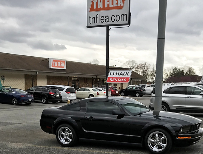 This unassuming storefront holds more treasures than a pirate's chest &ndash; and better parking too.