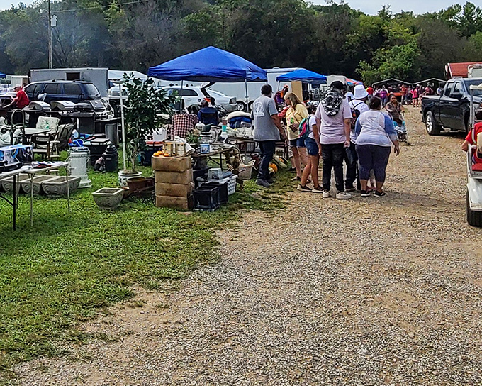 Treasure hunters navigate the gravel pathways between vendor stalls, where yesterday's castoffs await their second chance at usefulness and appreciation.