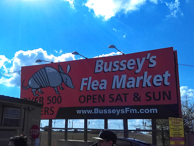 That iconic armadillo sign isn't just decoration &ndash; it's your gateway to Texas treasure hunting paradise.