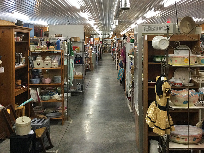 Endless aisles of possibility stretch before you, where yesterday's forgotten treasures await their second chance at bringing joy.