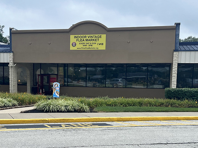 That unassuming storefront holds more treasures than King Tut's tomb, minus the ancient curses.