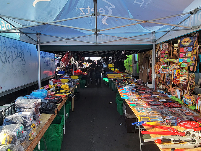 The Oakland Coliseum Flea Market stretches as far as the eye can see, a colorful patchwork of tents where treasure hunting becomes an Olympic sport.