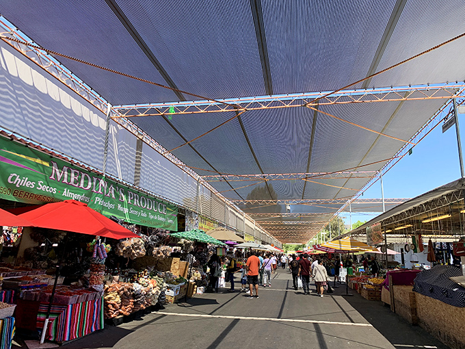 Welcome to retail paradise! The San Jose Flea Market's endless rows of merchandise promise treasure hunting adventures that'll make your inner bargain hunter rejoice.