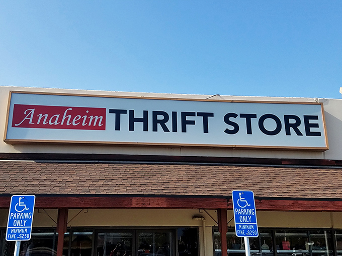 The unassuming storefront that houses more treasures than a pirate's chest. Simple signage, extraordinary possibilities within.