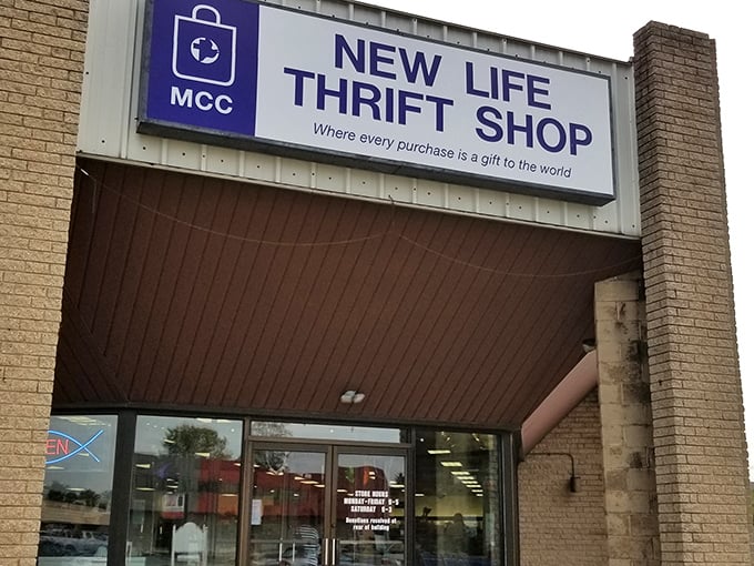 That blue sign promising treasures at rock-bottom prices never lies about its ambitious mission.