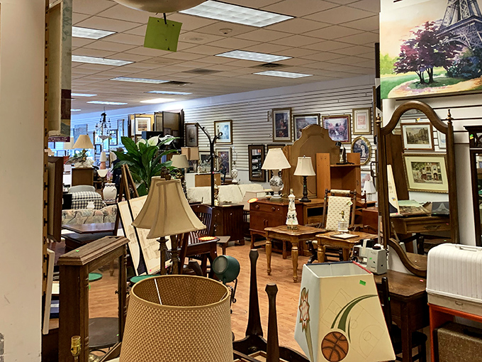 The furniture section at Care & Share is a time-traveler's dream, where vintage lamps and solid wood treasures await their second chance at making a home cozy.