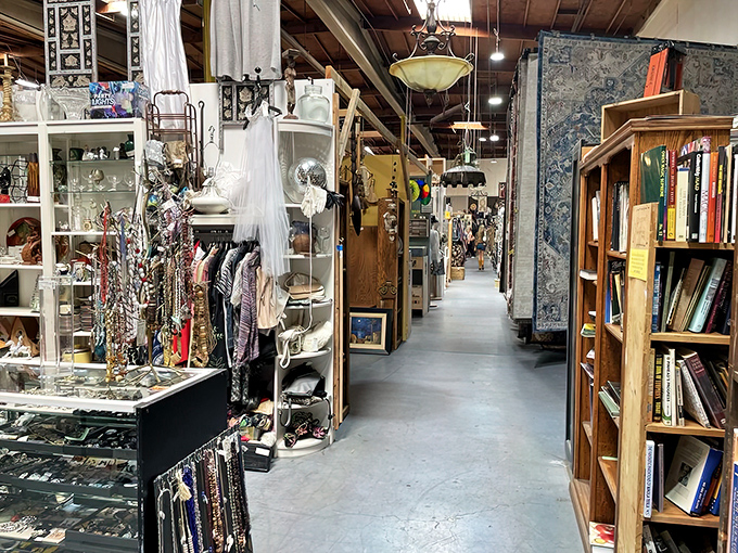 Sometimes the most extraordinary adventures hide behind the most unassuming facades in America's Finest City.