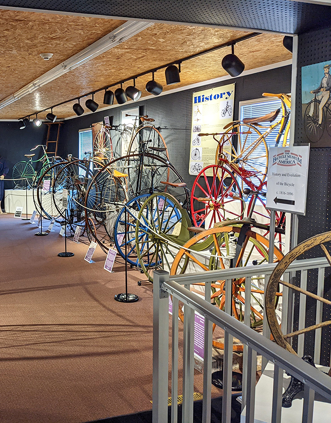 Evolution on wheels! The museum's impressive collection of early bicycles traces the fascinating journey from wooden contraptions to modern marvels.