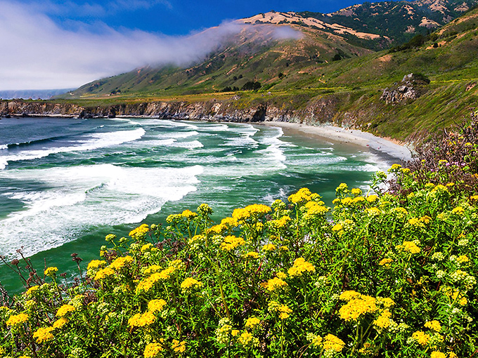 Where the mountains dive dramatically into the sea, Sinkyone's coastline offers the kind of untamed beauty that makes smartphone cameras weep with inadequacy.