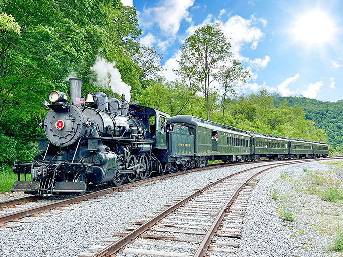 The majestic steam locomotive cuts through Pennsylvania's lush greenery like a time machine on wheels, billowing clouds of nostalgia in its wake.