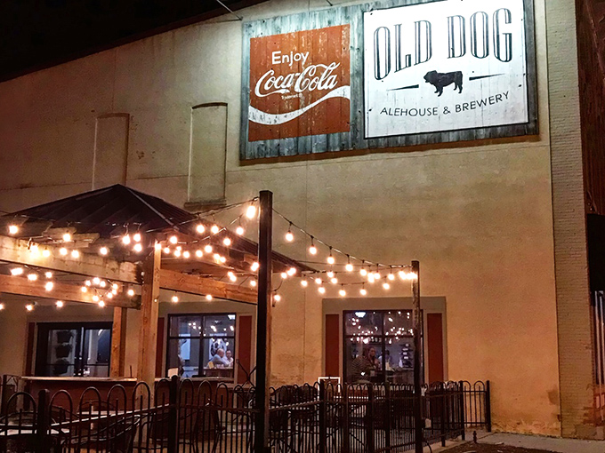 Golden perfection meets crispy heaven in this fish and chips masterpiece that'll make you forget every disappointing seafood experience.