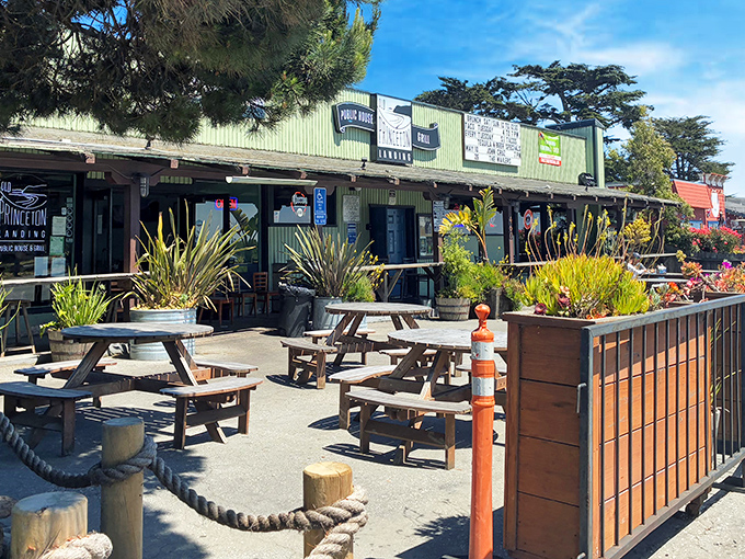 A coastal treasure hiding in plain sight - Old Princeton Landing's weathered green exterior and sunny patio welcome you like an old friend who happens to make incredible food.